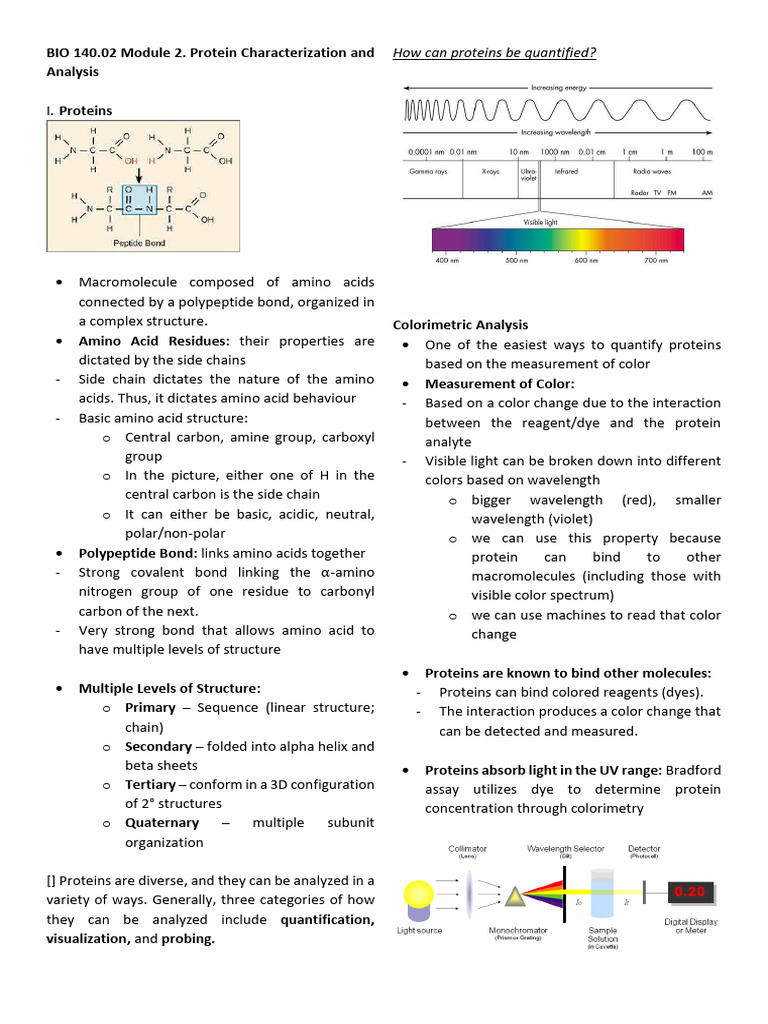 Proteins Analysis Reviewer | PDF | Gel Electrophoresis | Polyacrylamide Gel Electrophoresis