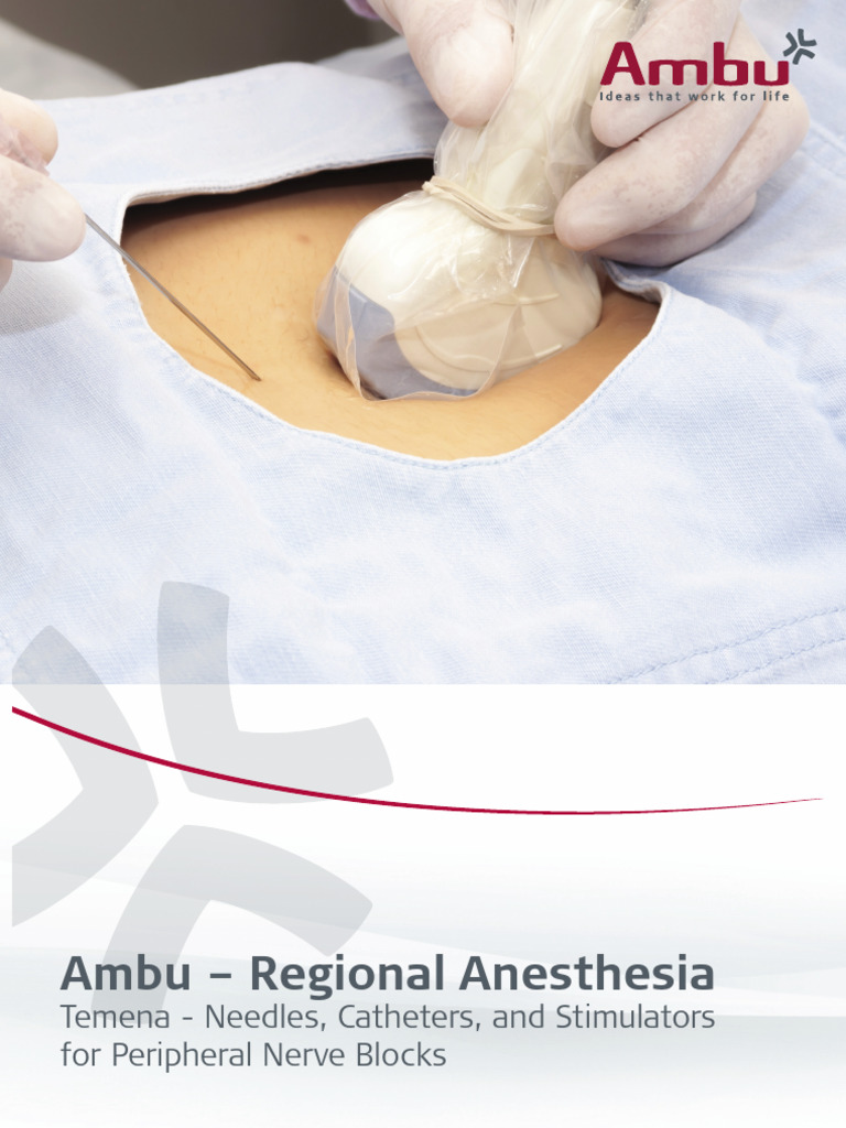 Temena Regional Anesthesia Products | PDF | Anesthesia | Catheter