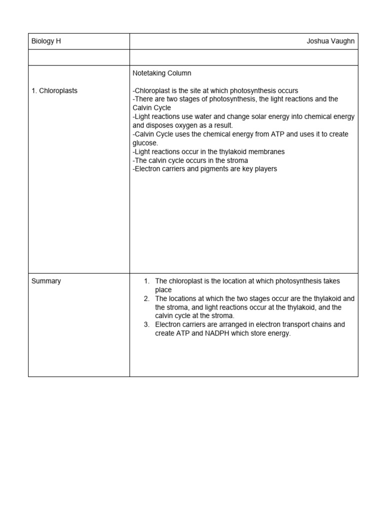 Photosynthesis in Chloroplasts Explained | PDF