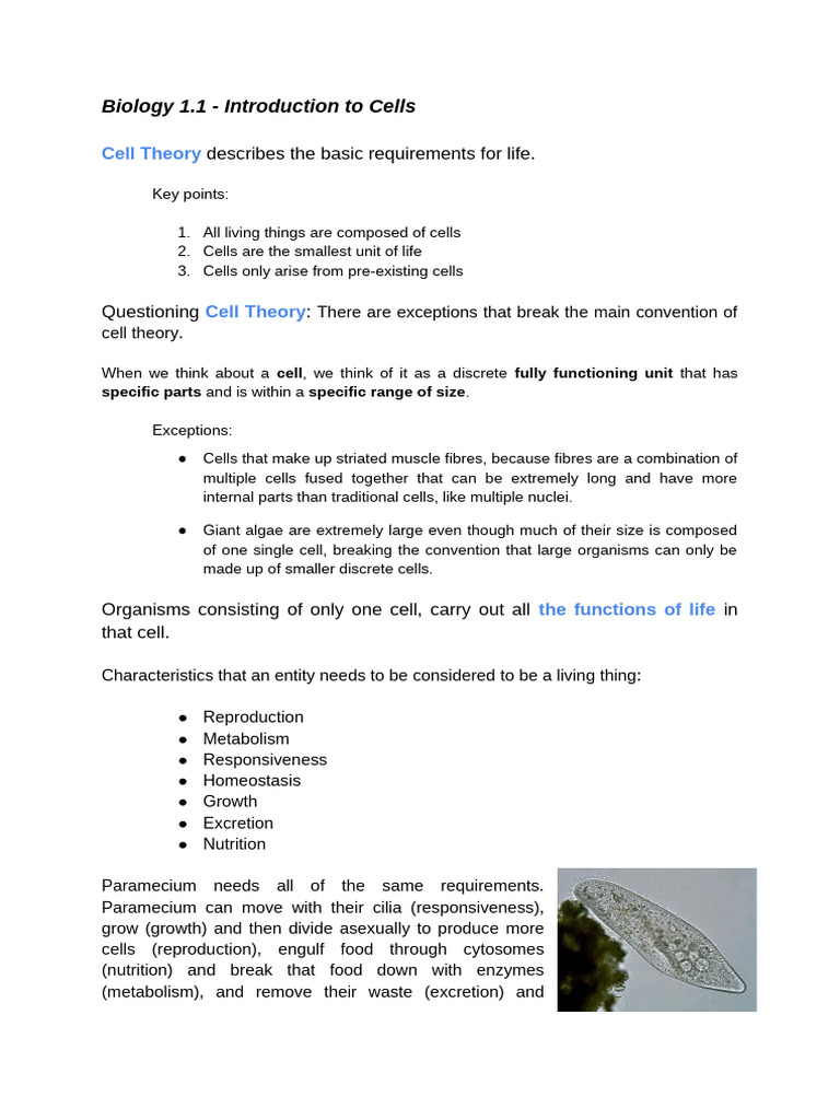 Introduction To Cells | PDF