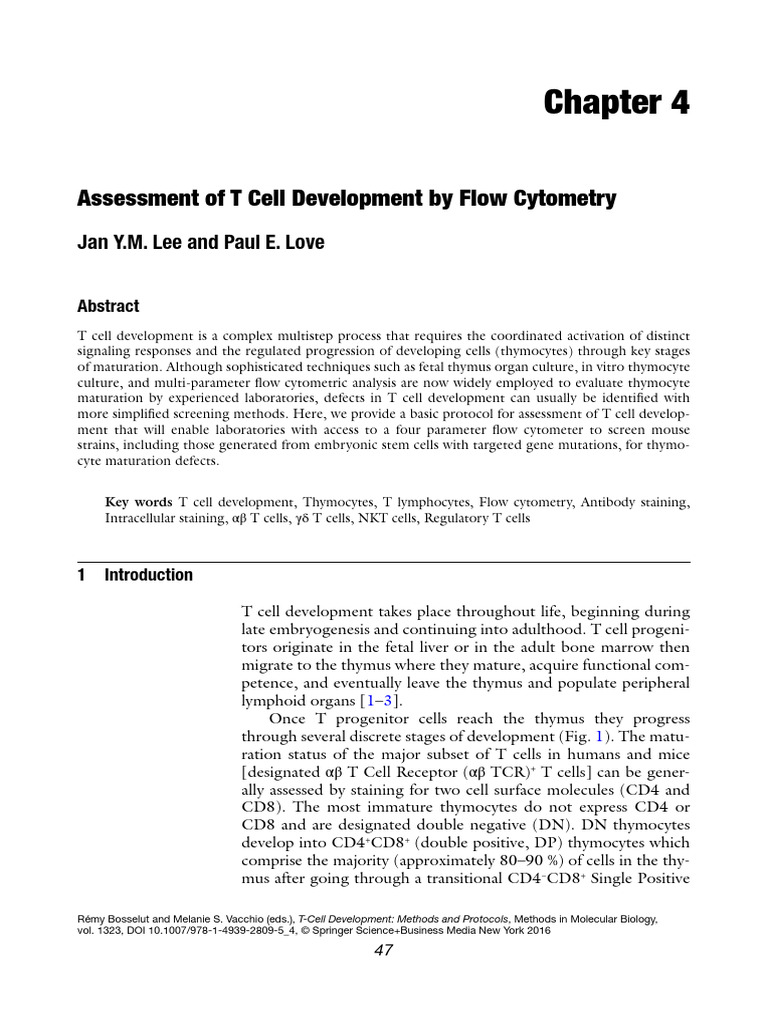 T Cell Development Thymocytes | PDF | T Cell | Thymus