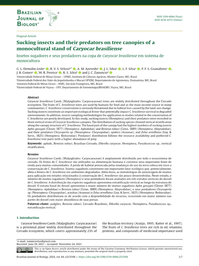 Insetos Sugadores e Seus Predadores Na Copa de Caryocar Brasiliense em Sistema de Monocultura ...