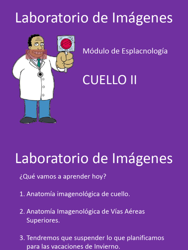 Cuello 2 | PDF | Anatomía humana | Cabeza y cuello humanos