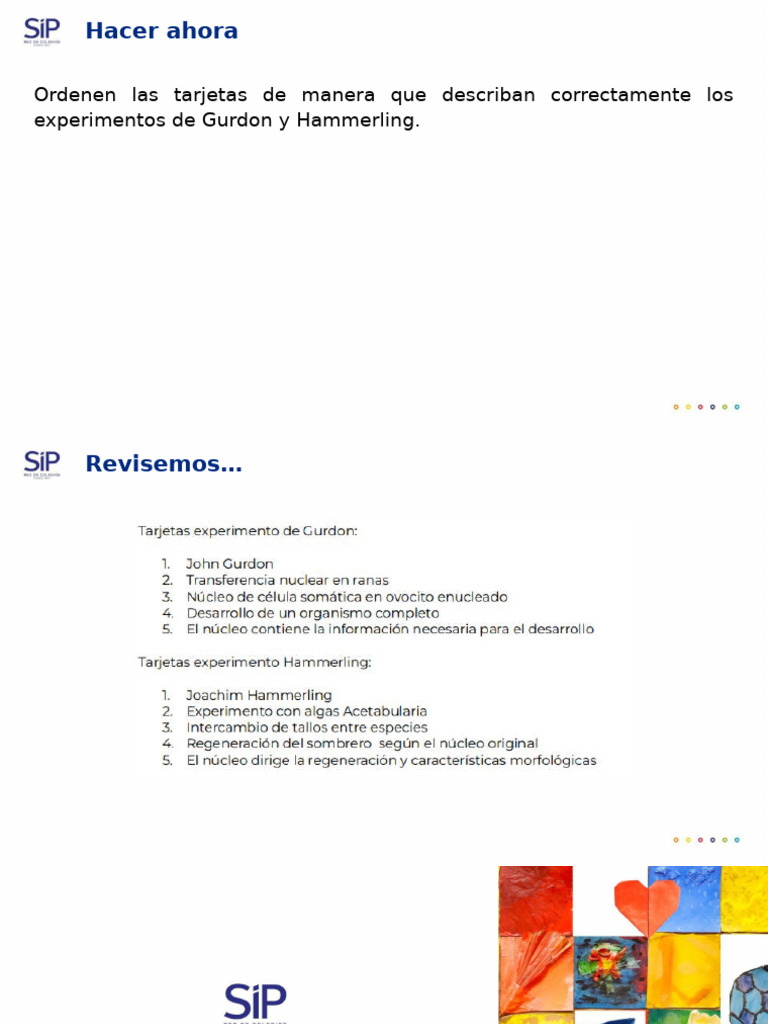 Material Genético - Estructura Del ADN | PDF | Adn | Cromosoma
