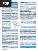 Anatomia e Funções do Apêndice Vermiforme | PDF | Doenças e distúrbios ...