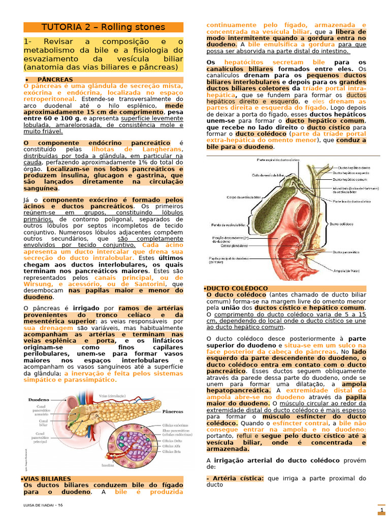Composição e Fisiologia da Bile e Pâncreas | PDF | Bile | Fígado