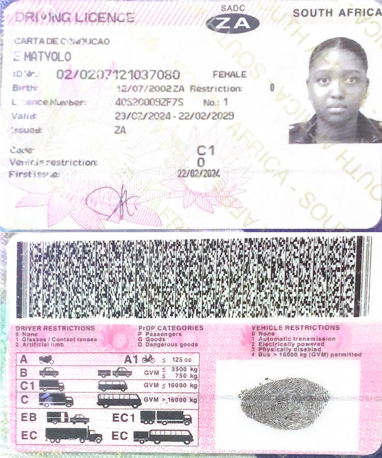 Drivers License | PDF