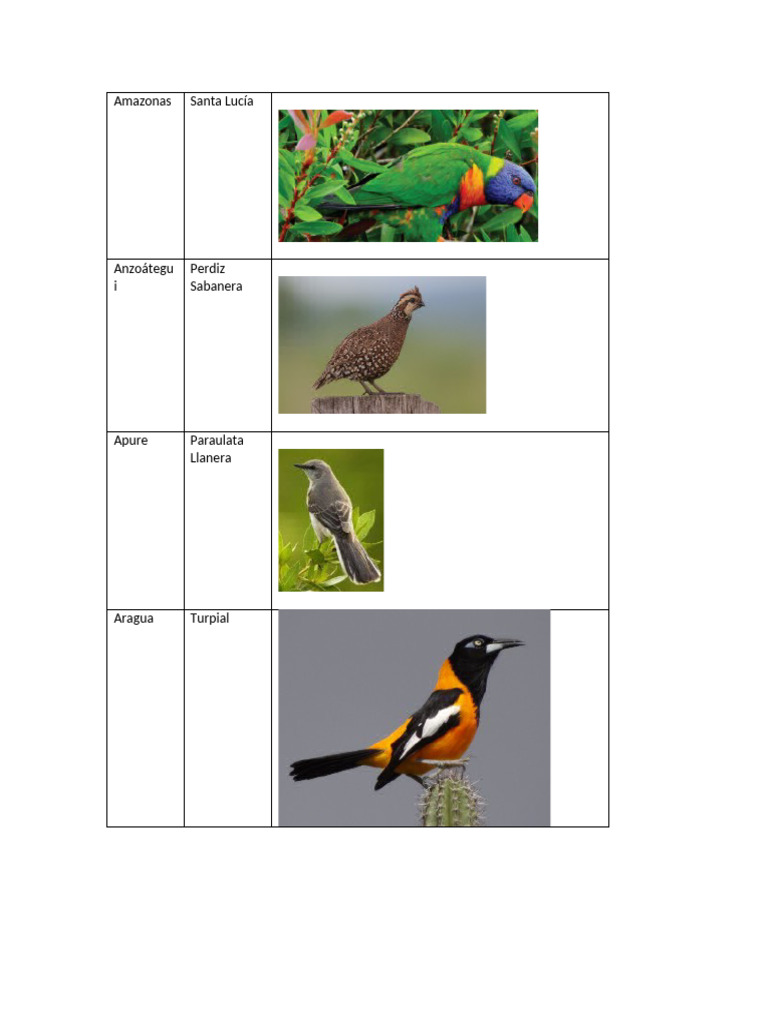 Aves de Venezuela: Especies Destacadas | PDF