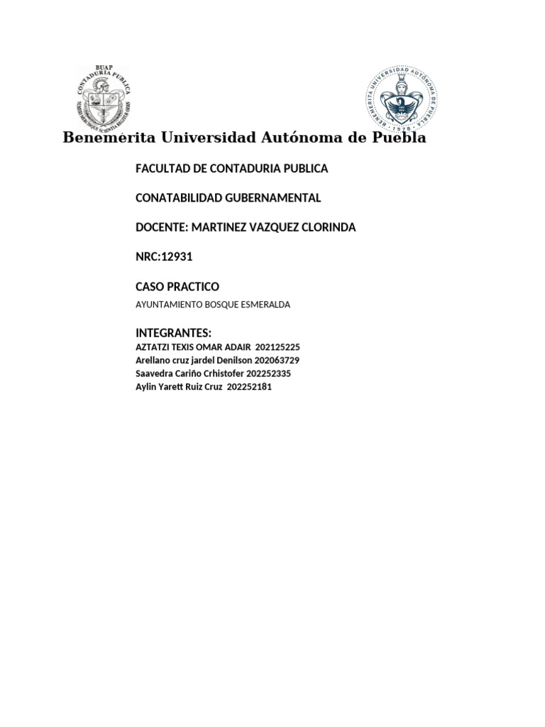 Practica Final Conta Guber | PDF | Presupuesto | Contabilidad