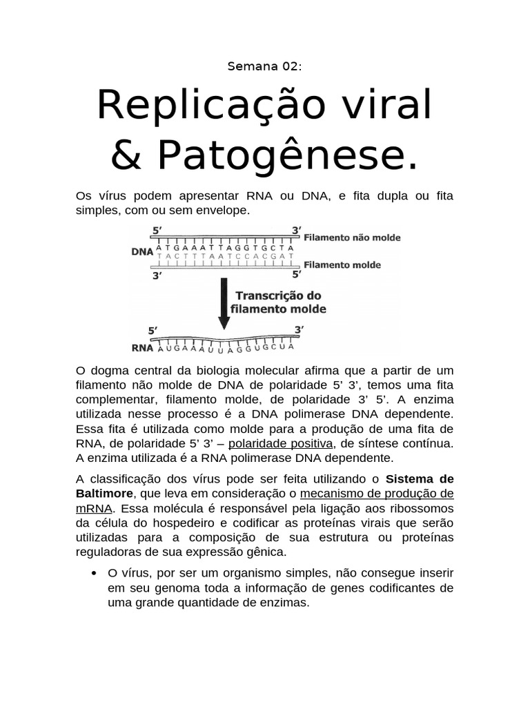 Classificação Viral: Sistema Baltimore | PDF | Vírus | RNA