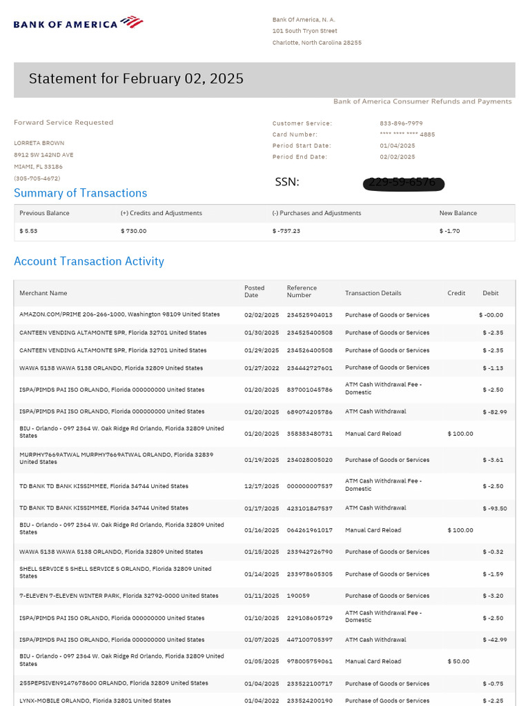 Financial Statement Summary | PDF | Credit Card | Financial Technology