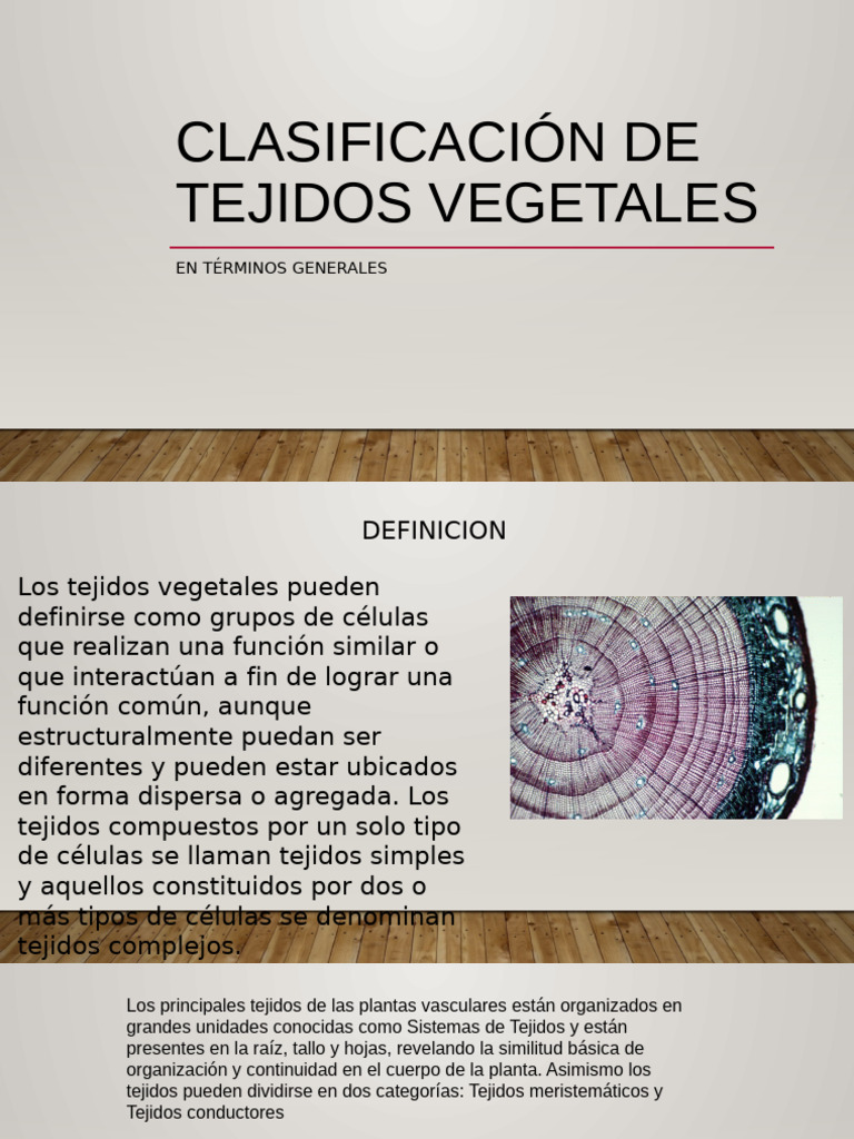 Clasificación de Tejidos Vegetales | PDF | Tejido (biología) | Raíz