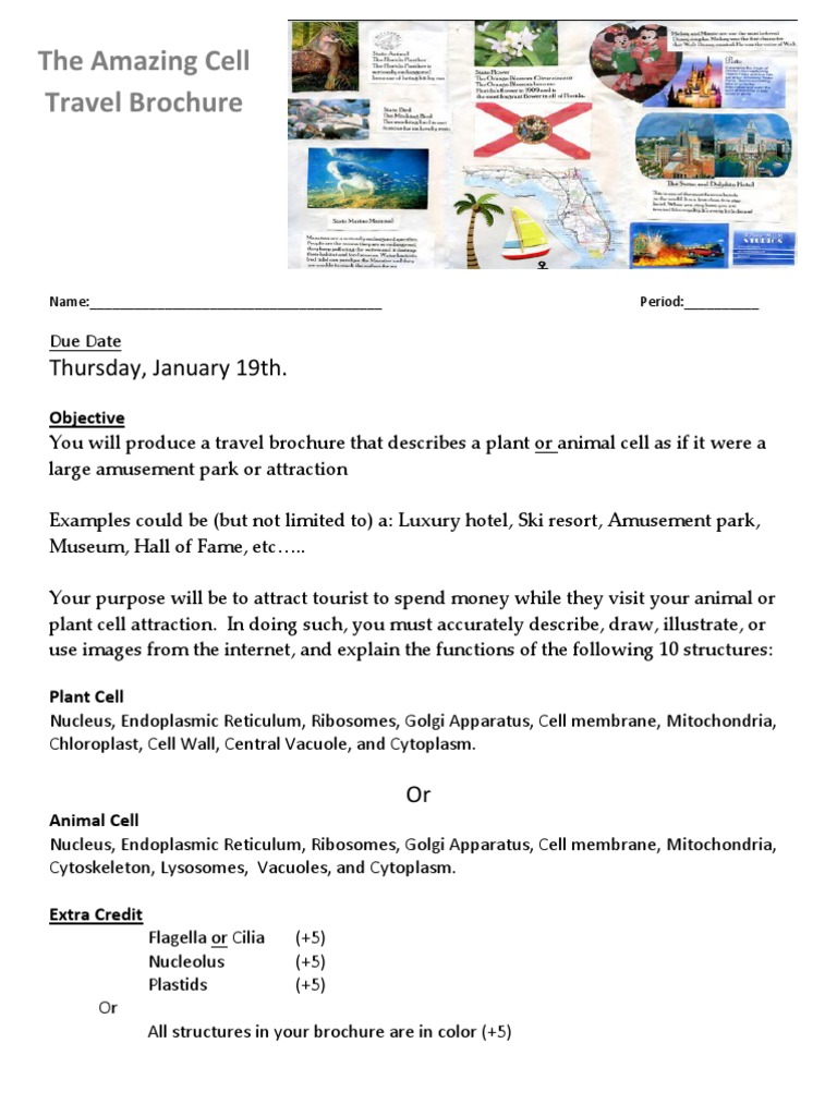 Cell Booklet Project