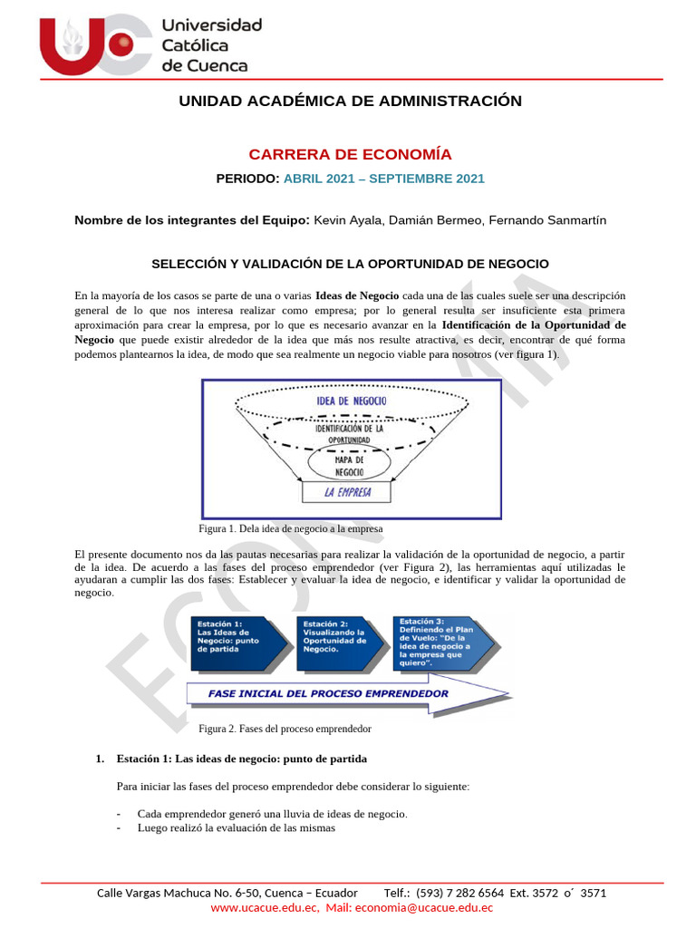 Validación de Oportunidades de Negocio | PDF | Análisis FODA | Economias