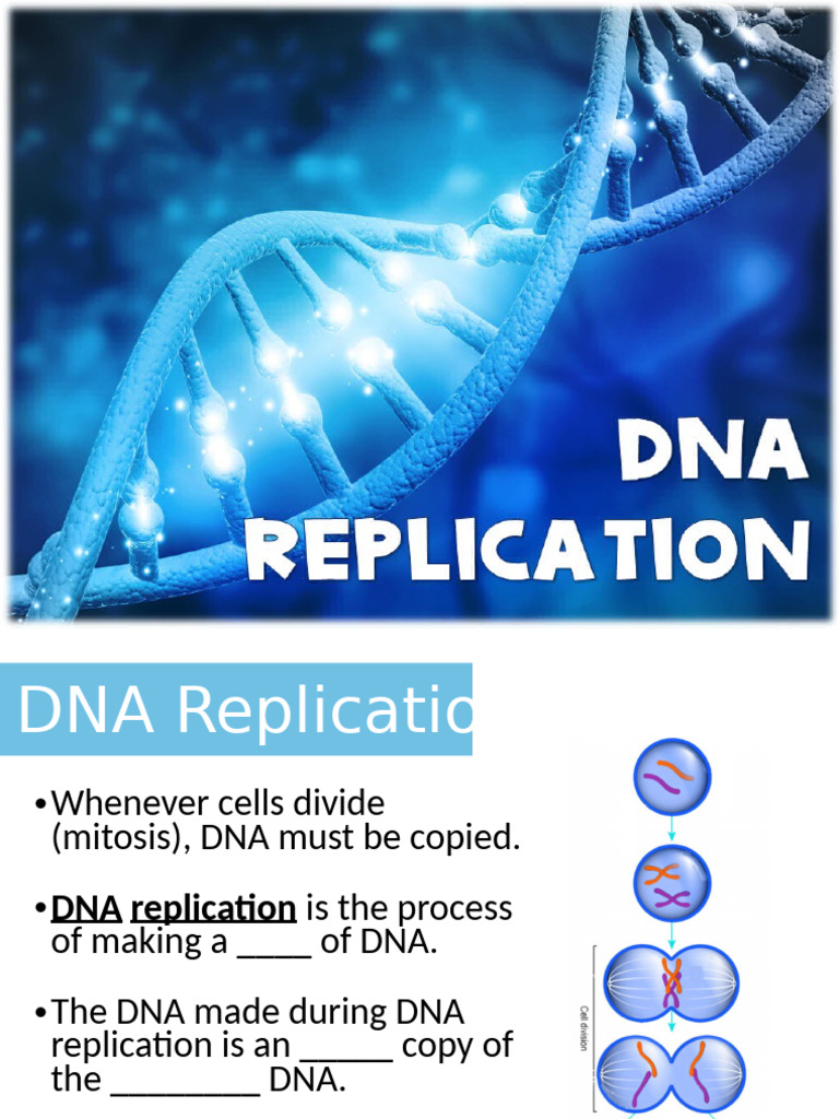DNA Replication Student Notes | PDF