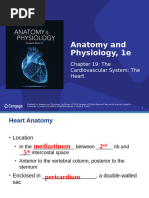Anatomy Heart Cadaver | PDF | Heart Valve | Coronary Circulation