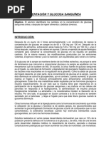 Plantilla Control Diario de Glucosa | PDF