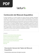 Funciones y Estructura del Sarcolema | PDF | Músculo esquelético ...