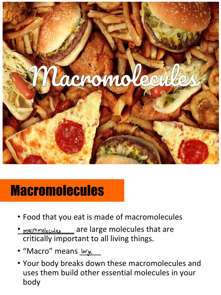 Macromolecules+Student+notes | PDF