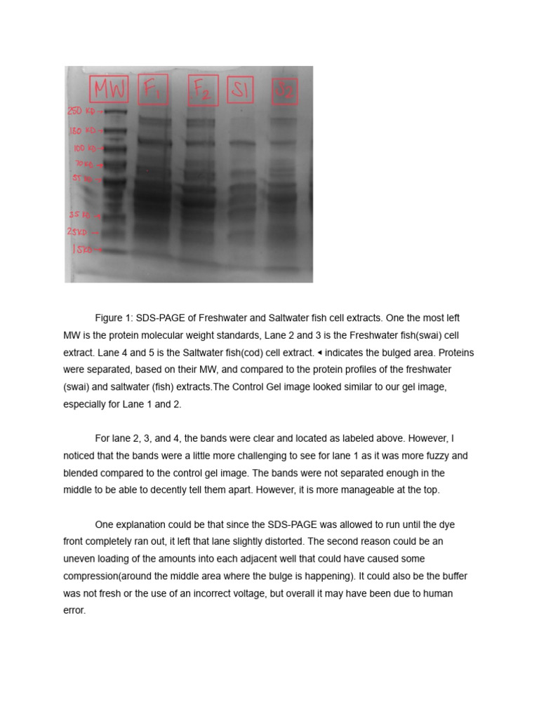 Protein Analysis in Fish Extracts | PDF