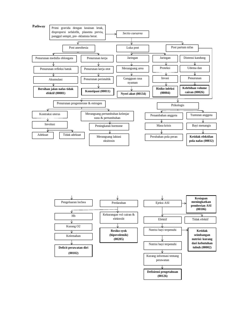 Pathway Plasenta Previa | PDF