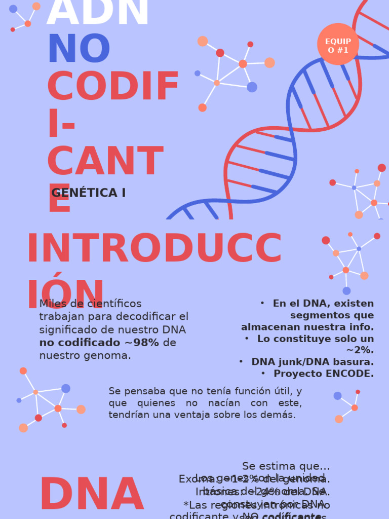 Dna No Codificante Genética Primer Semestre | PDF | Adn | La expresion ...
