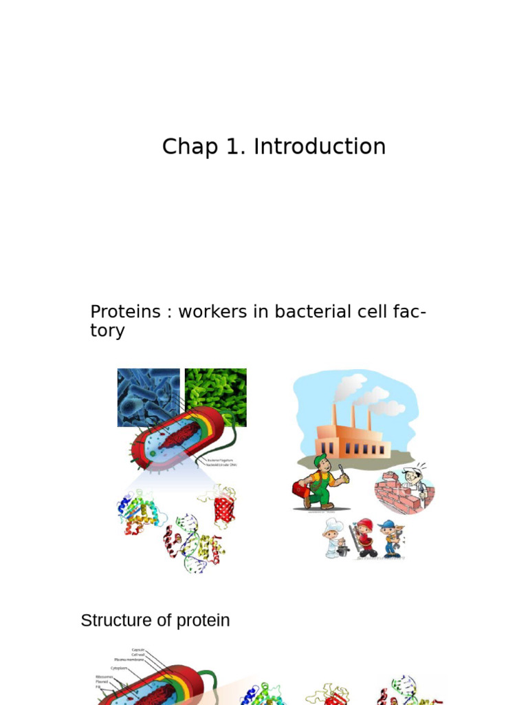 Chapt 1-2 Introduction, Structure | PDF | Enzyme | Amino Acid