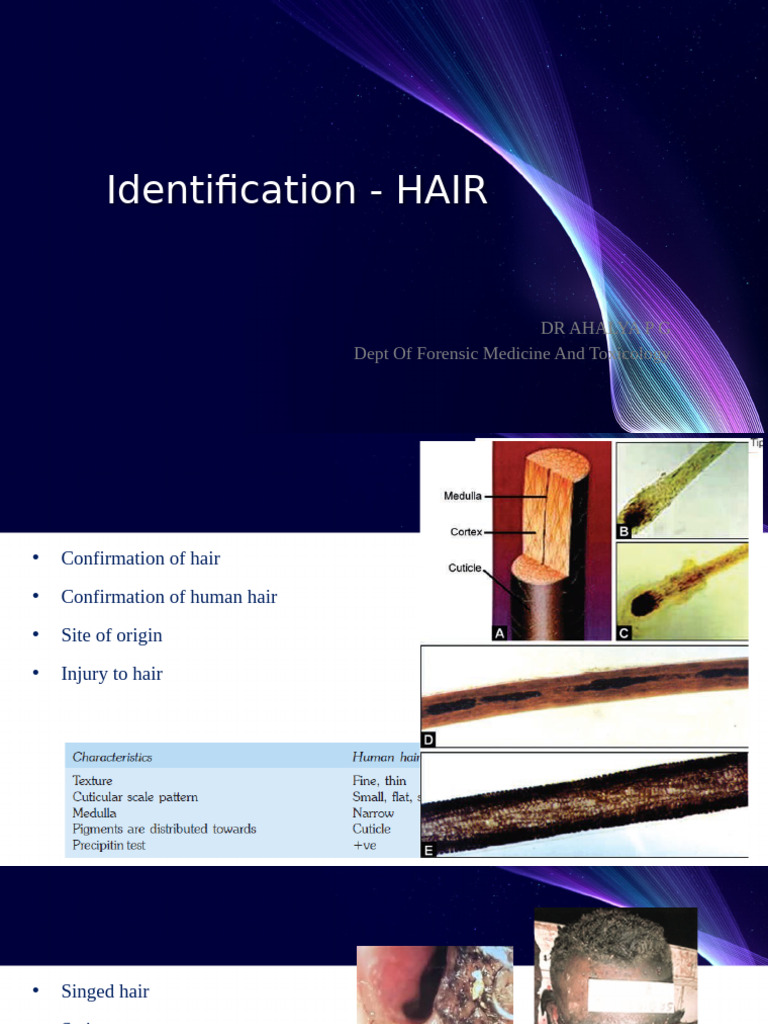 Identification of Hair | PDF