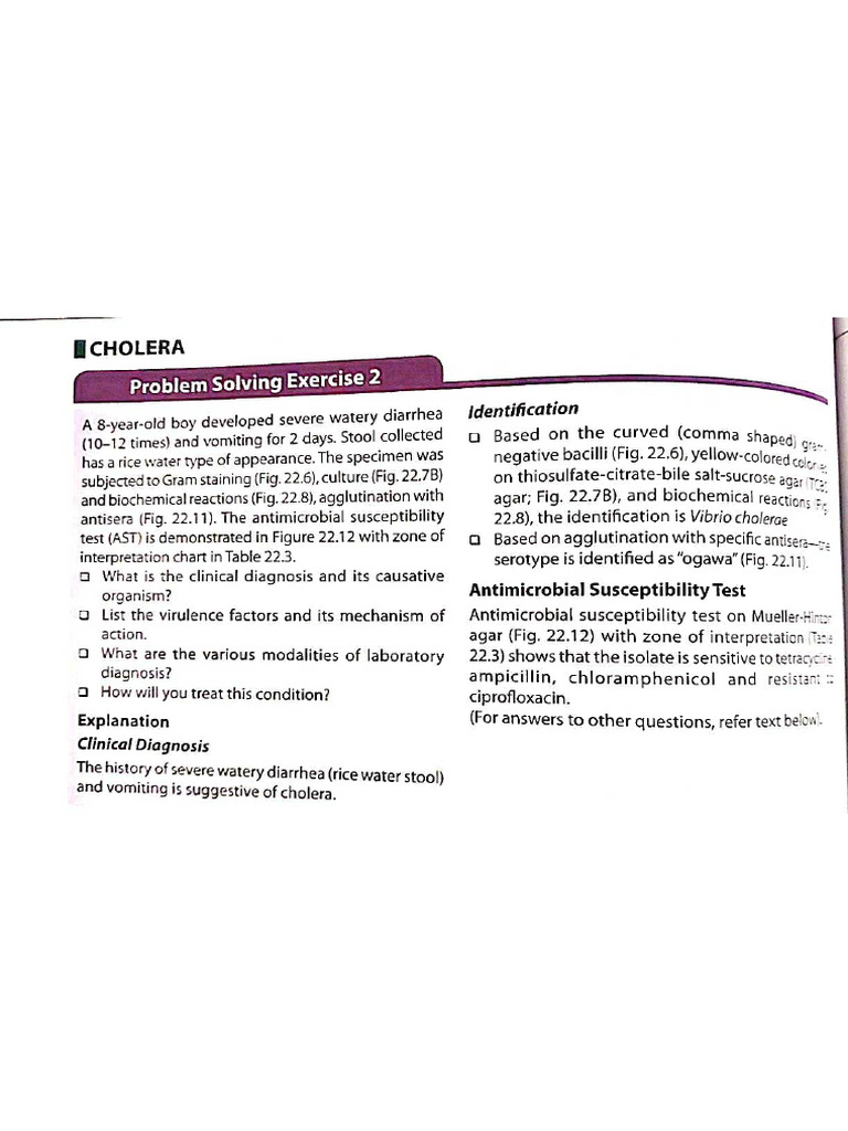 Problem Solving Exercise (Chapter 22 To 38) Practical Book | PDF