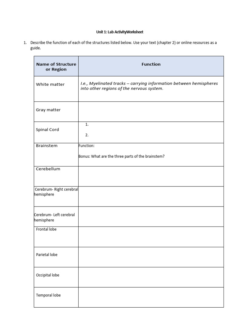 Unit 1 Lab Worksheet | PDF