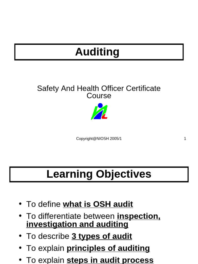 15 - Auditing | PDF | Audit | Auditor's Report