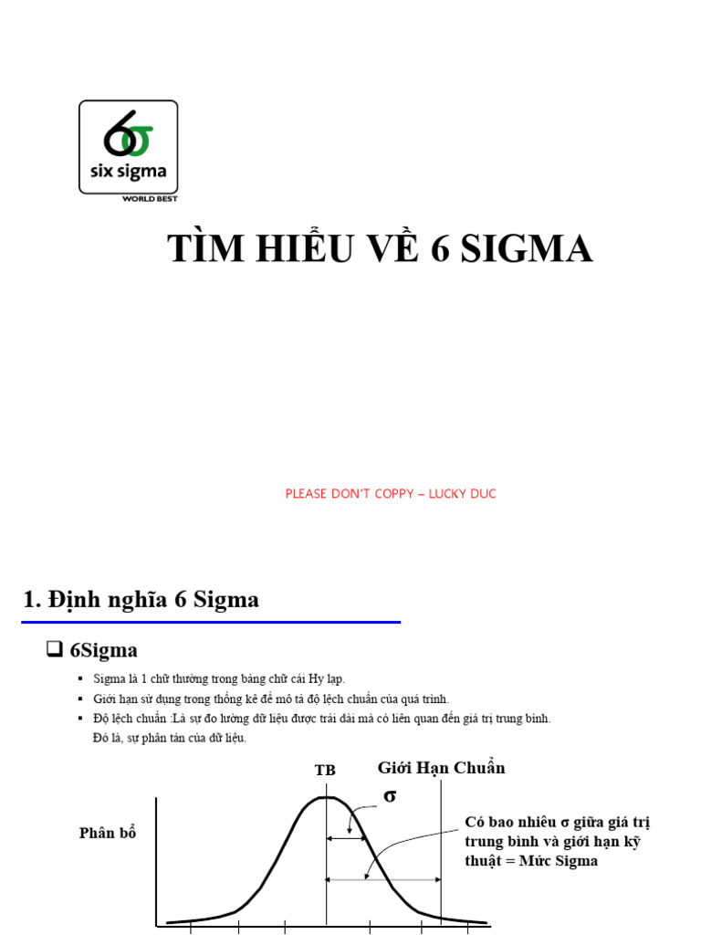 6Sigma GB VN Part1 | PDF