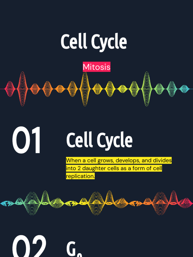 Cell Cycle Mitosis Lecture Slides | PDF | Mitosis | Cell Cycle