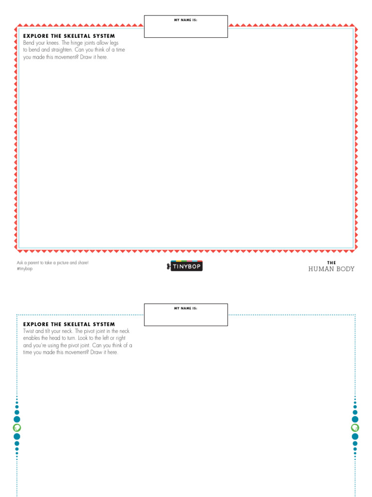 tinybop-EL1-skeletal - System | PDF