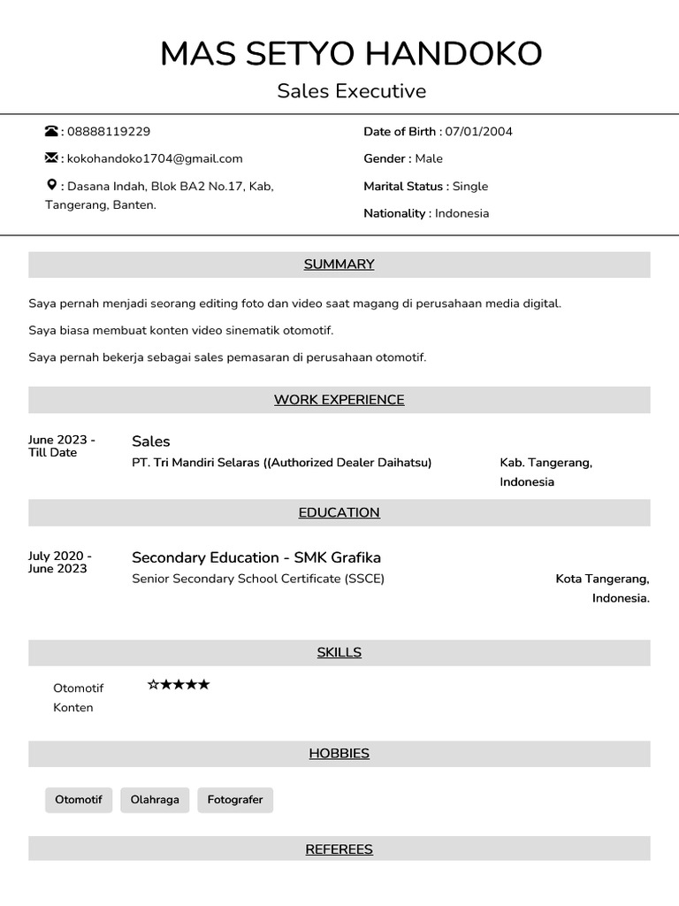 Mas Setyo Handoko - Hyundai | PDF