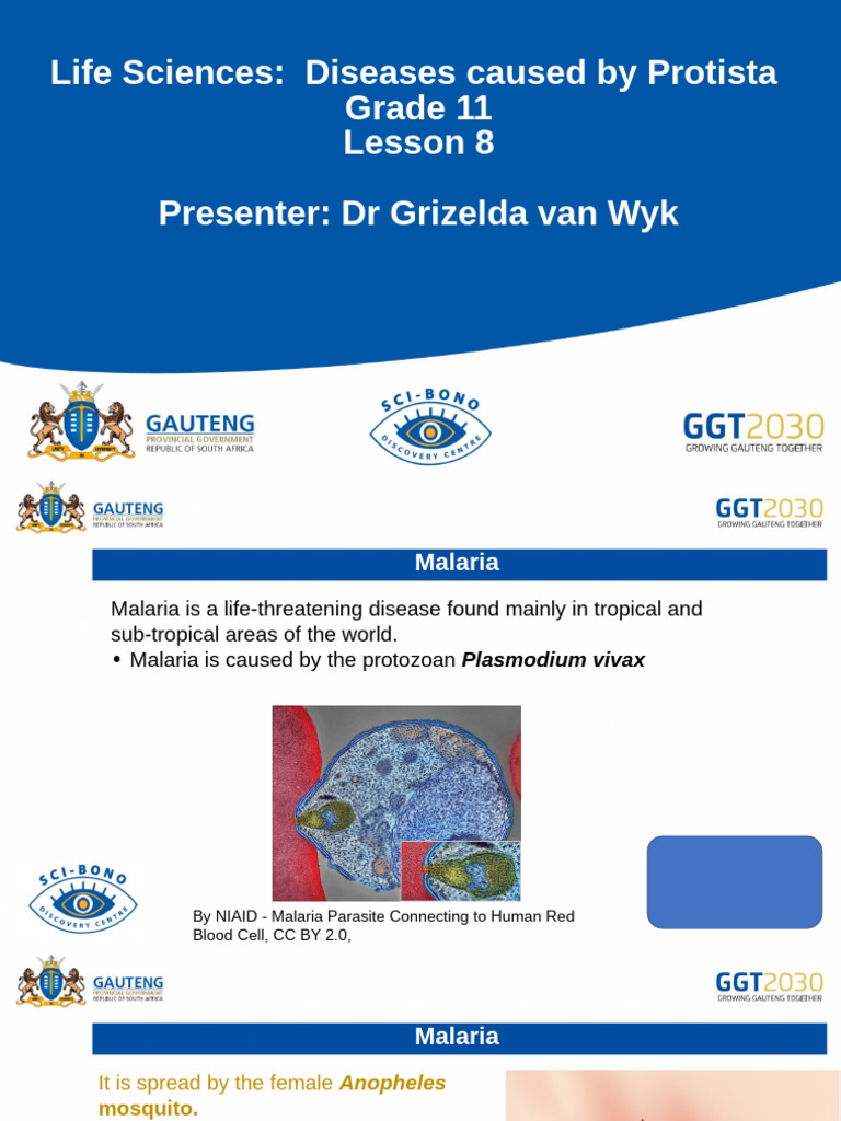 Life Sciences Gr.11 Lesson 8 Diseases Caused by Protista | PDF ...
