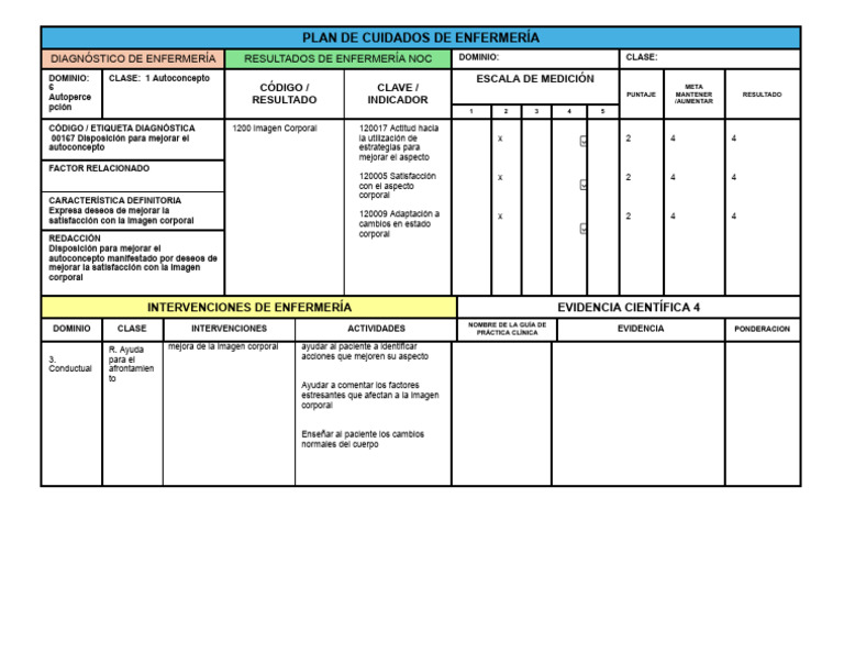 Formato Place | PDF | Enfermería | Sicología