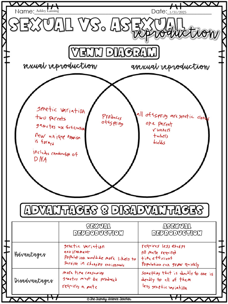 Sexual Vs Asexual Reproduction Worksheet | PDF | Reproduction | Sexual ...