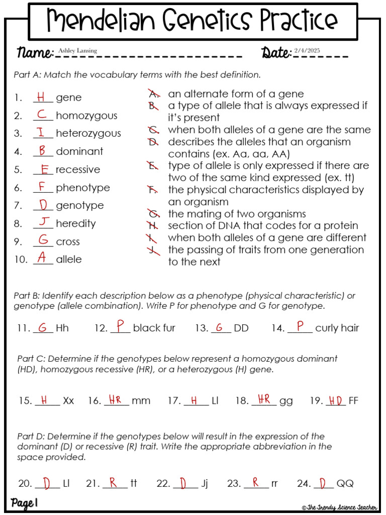 Mendelian Genetics Vocabulary Practice | PDF | Dominance (Genetics ...