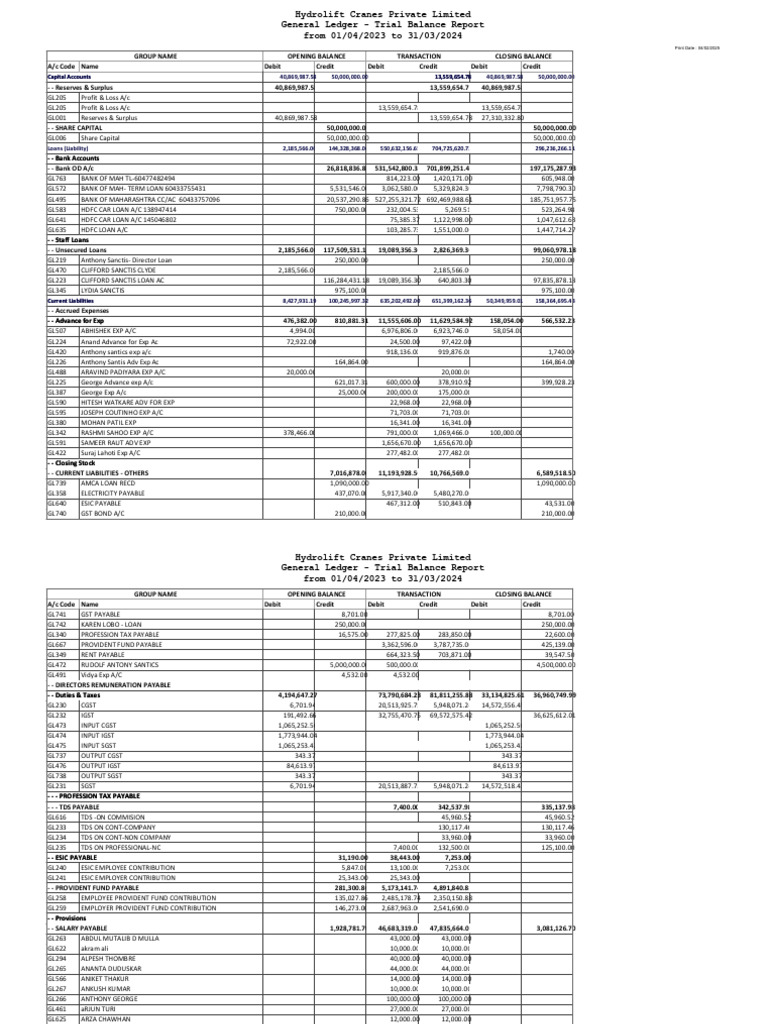 TRIAL BALANCE | PDF | Debits And Credits | Business