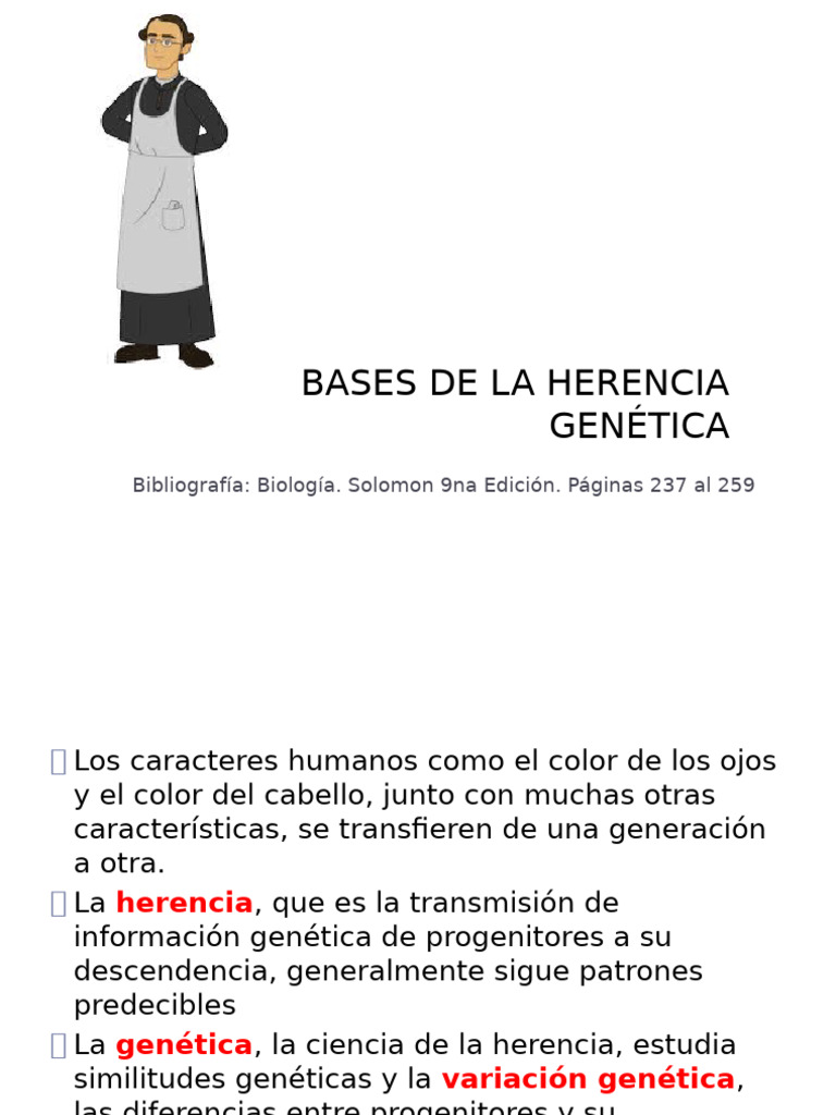 Bases de La Herencia 3 | PDF | Dominancia (Genética) | Alelo