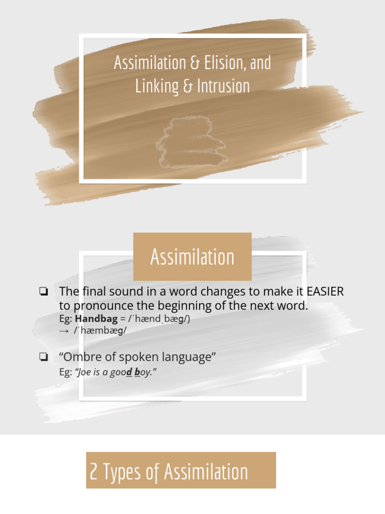 Assimilation, Elision, Linking and Intrusion | PDF | Consonant | Stress (Linguistics)