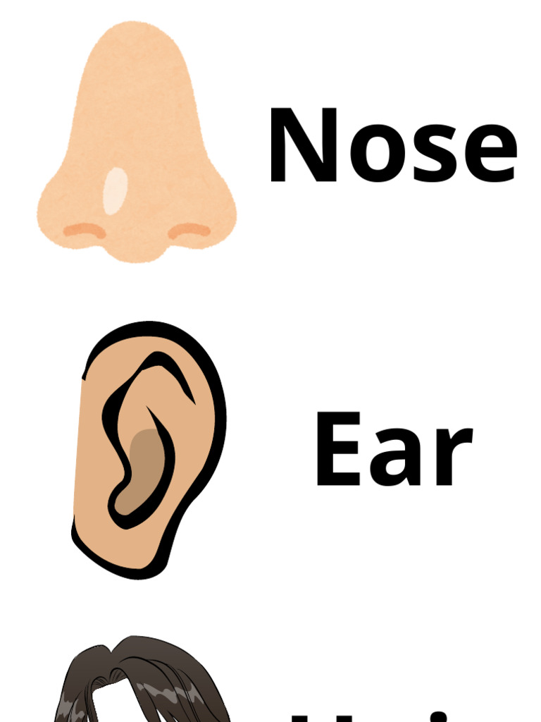 Nose PDF | PDF