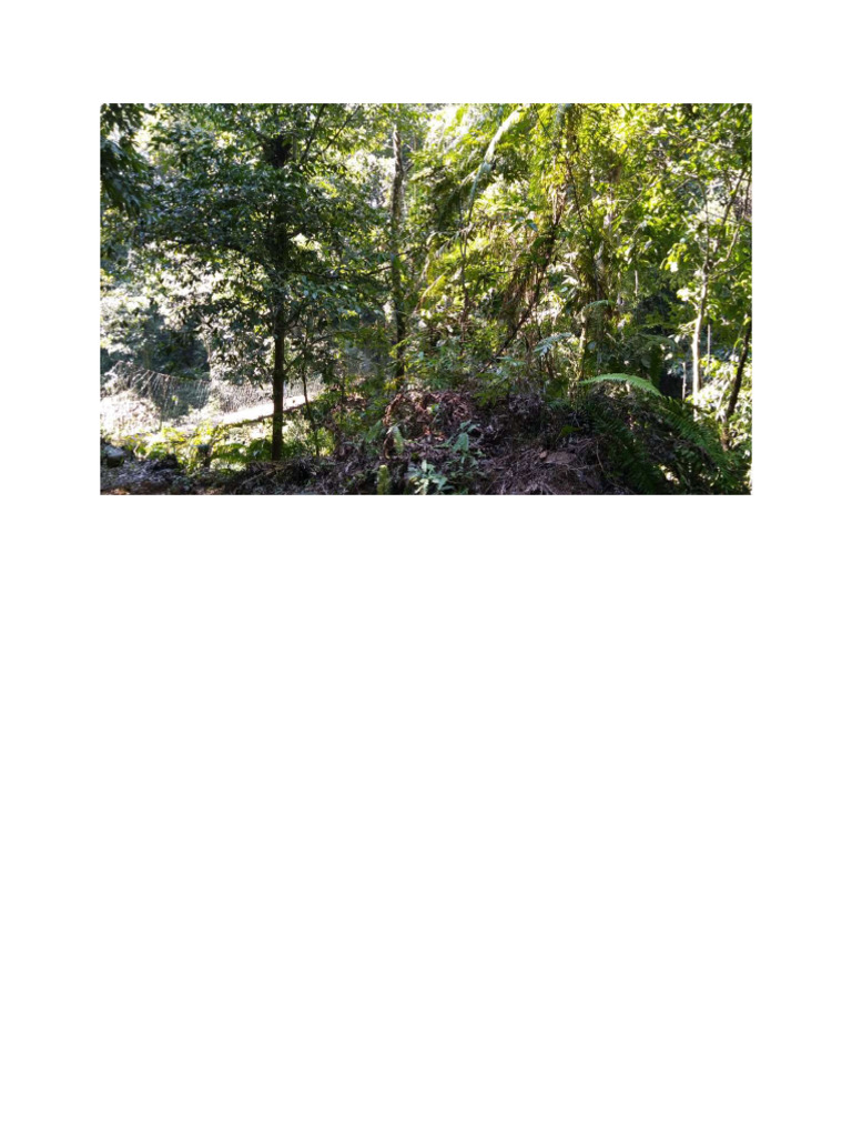 Nature | PDF
