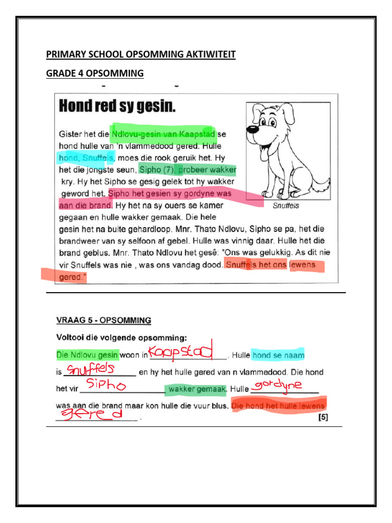 Primary School Opsomming Aktiwiteit Class Task 1 | PDF