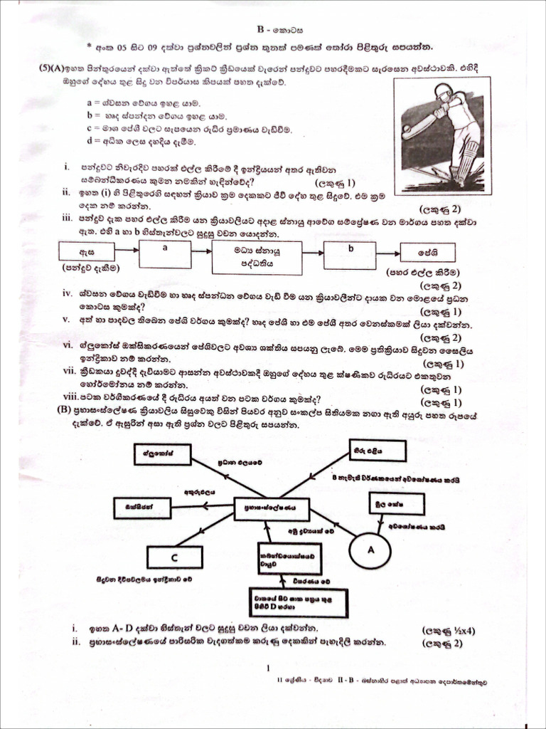Western Province Grade 11 Science 2021 3rd Term Test Paper ...