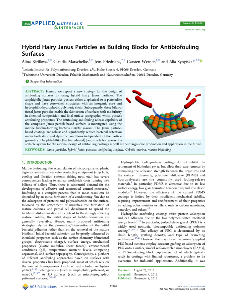 2016 - APMI - Janus Particles As Bulding Blocks For Antifouling ...