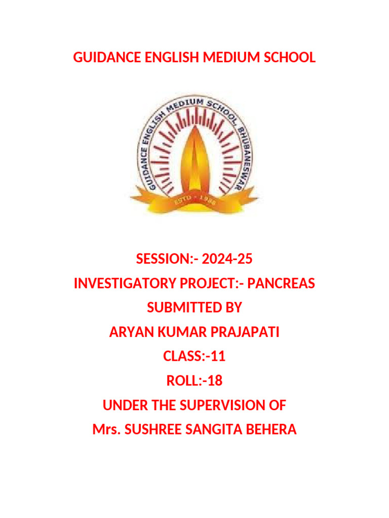 Guidance English Medium School | PDF