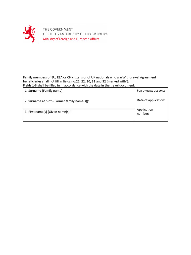 national-form | PDF | Travel Visa | Passport