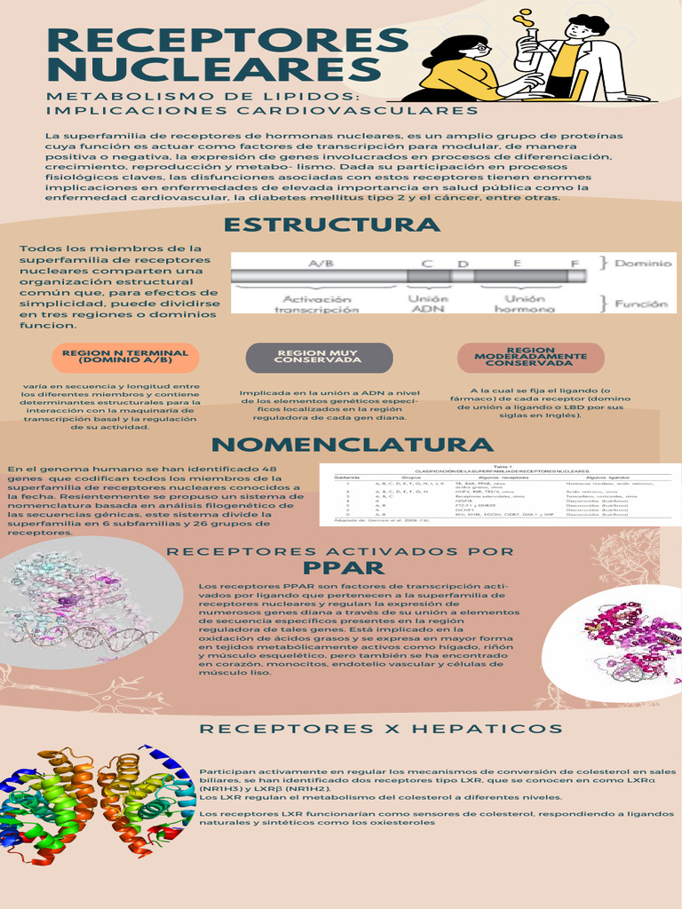 Receptores PPAR y LXR en Metabolismo Lipídico | PDF | Receptor ...